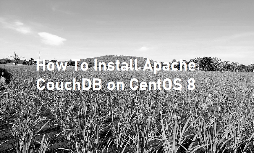 How To Install Apache CouchDB On CentOS 8 Bckinfo How To Install Apache CouchDB On CentOS 8 Bckinfo