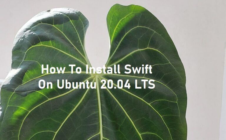 How To Install Swift On Ubuntu 20.04 LTS - bckinfo.com