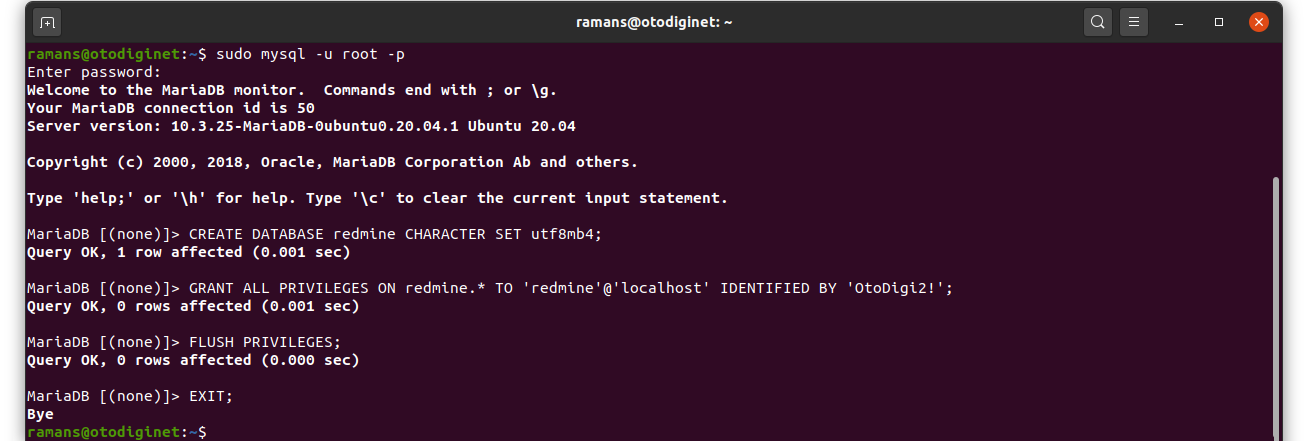 How To Install Redmine On Ubuntu 20.04 LTS - bckinfo.com