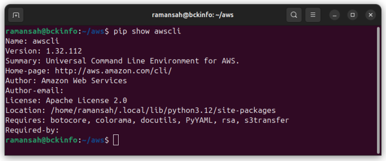 How To Install AWS CLI On Ubuntu 24.04 Noble Numbat : A Step by Step Guide - bckinfo.com