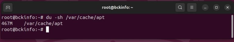 How To Clear the APT Cache and Free Up Disk Space on Ubuntu 24.04 - bckinfo.com