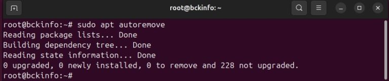 How To Clear the APT Cache and Free Up Disk Space on Ubuntu 24.04 - bckinfo.com
