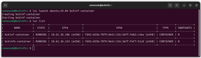 How To Install LXD on Ubuntu 24.04 - bckinfo.com