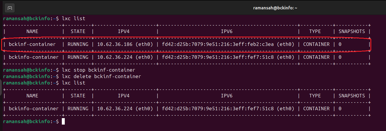 How To Install LXD on Ubuntu 24.04 - bckinfo.com